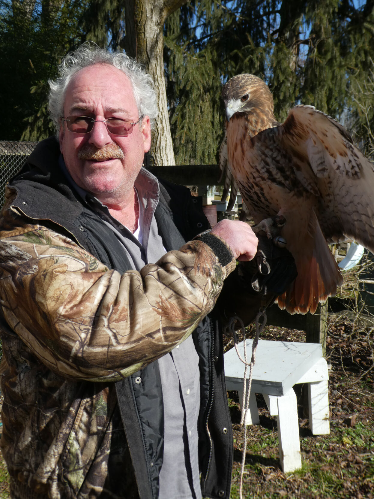 Falconry Flying High and Under the Radar in NJ - Princeton Info